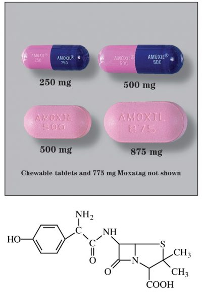 Amoxicillin Trihydrate – Sigler Drug Cards