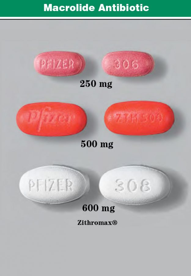 Macrolide-Antibiotic – Sigler Drug Cards
