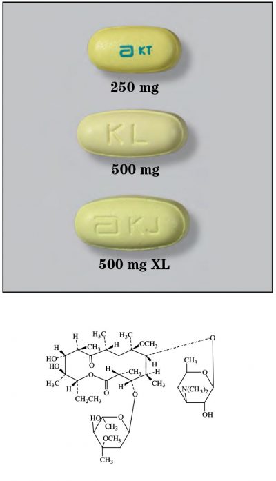 Clarithromycin – Sigler Drug Cards